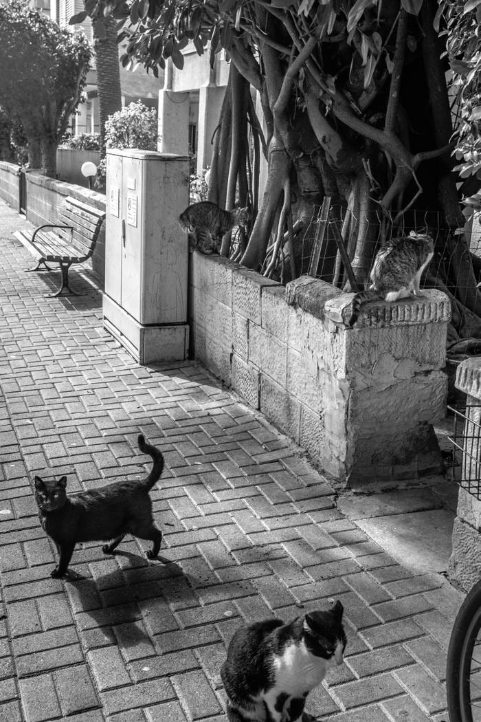 David Goldstein Photographe - ArtPhotoLimited - Photo d’art