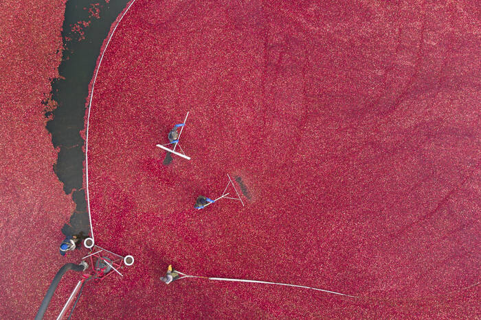 Bernard Brault Fotograf - Fotokunst