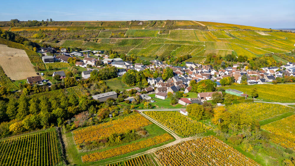 Chavignol le vin et le fromage - Photo et Tableau - Editions Limitées ...