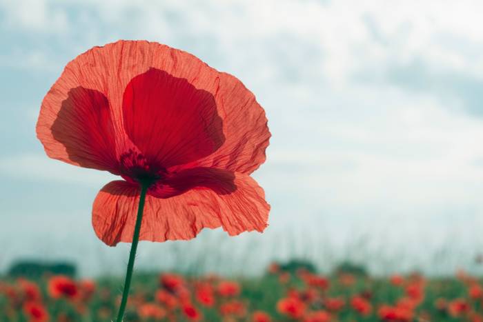 Photo d'Autres paysages bretons - Achat / Vente Photos d'art ...