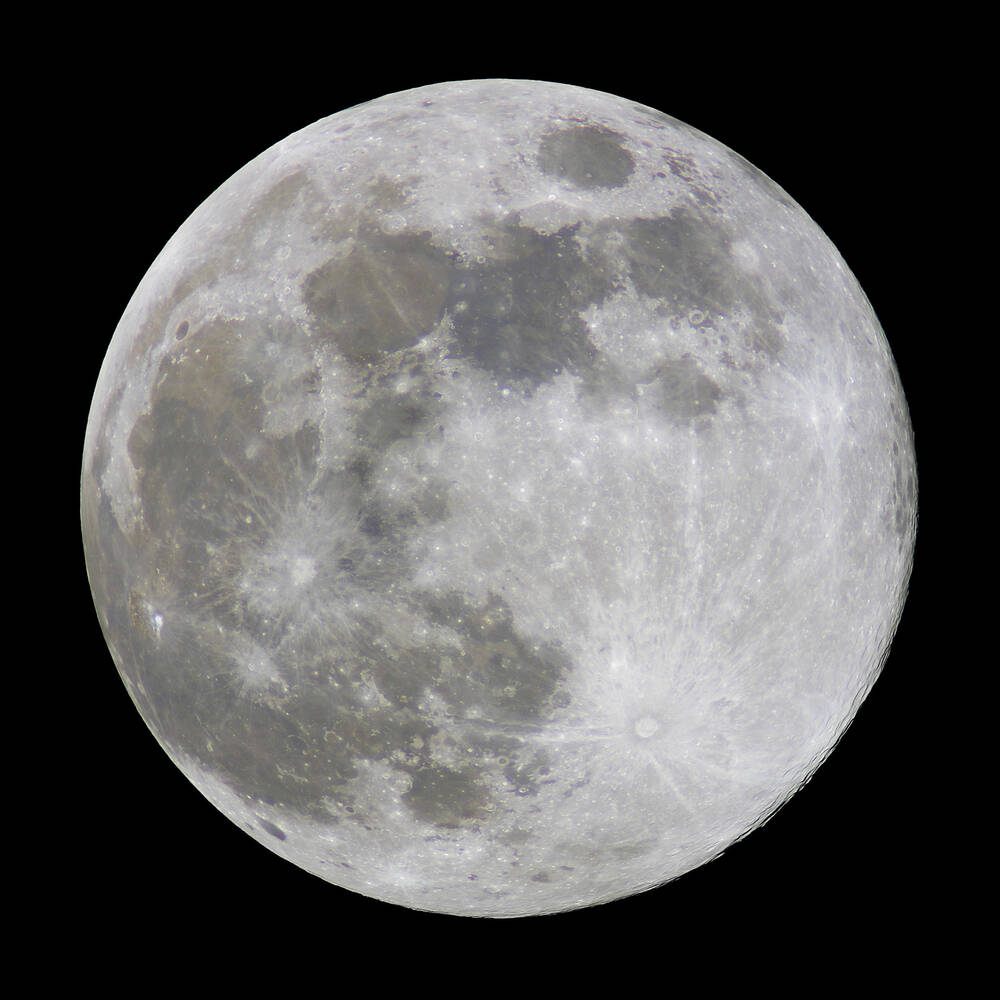 Full Wolf Moon - Photographic print for sale