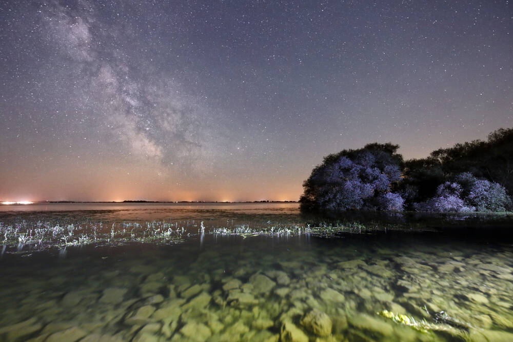 The Der and the Milky Way - Photographic print for sale