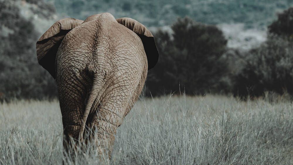 Goodbye - Photographic print for sale