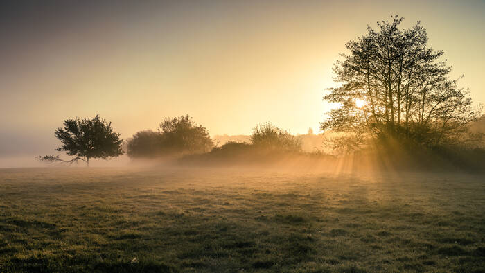 Landscape fog photography art prints for sale