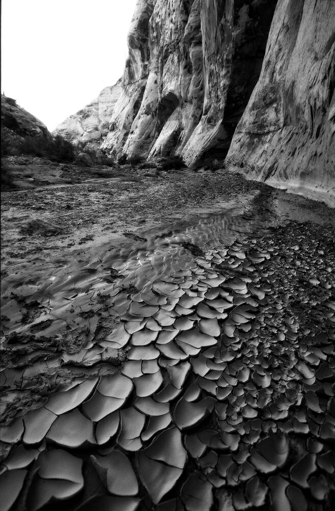 Capitol Reef - Photo et Tableau - Editions Limitées - Achat / Vente