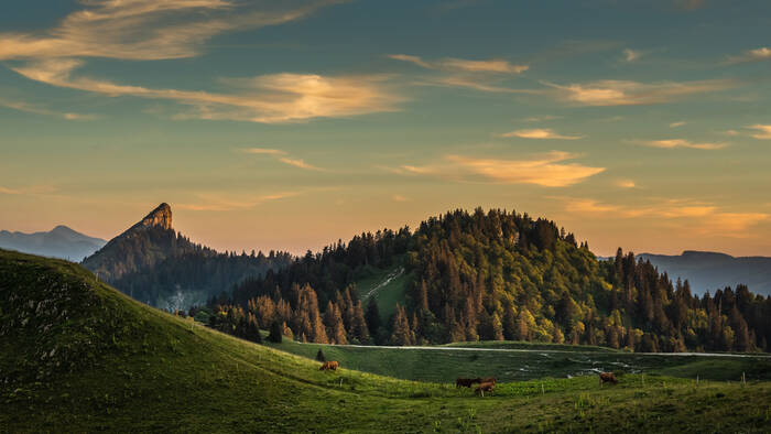 Alain Doucé Photographer - Fine Art Photography