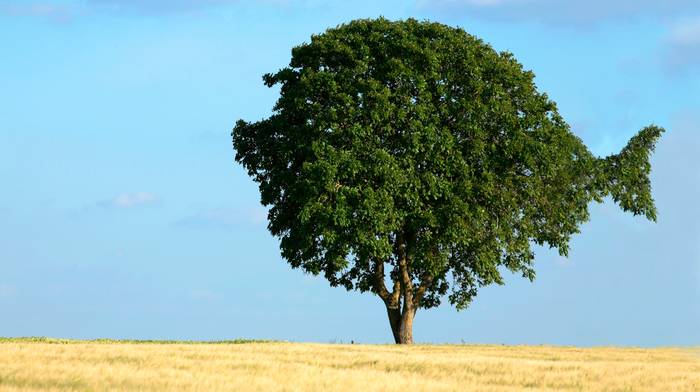 Photo Culture - Achat / Vente Photos d'art - ArtPhotoLimited