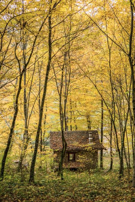 cabane en automne - Photo et Tableau - Editions Limitées - Achat / Vente