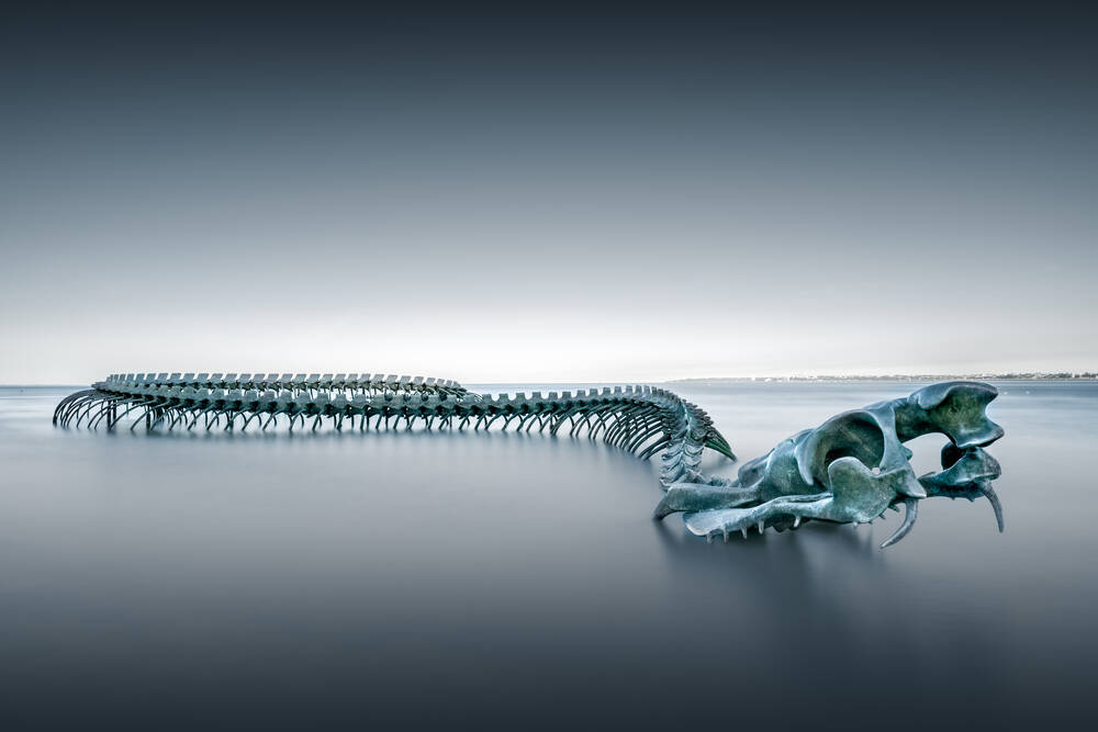 Le serpent de l'Océan - Photo et Tableau - Editions Limitées - Achat ...