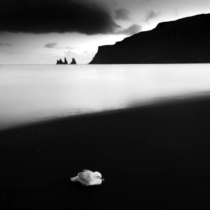 Arnaud Bertrande Photographer - Fine Art Photography