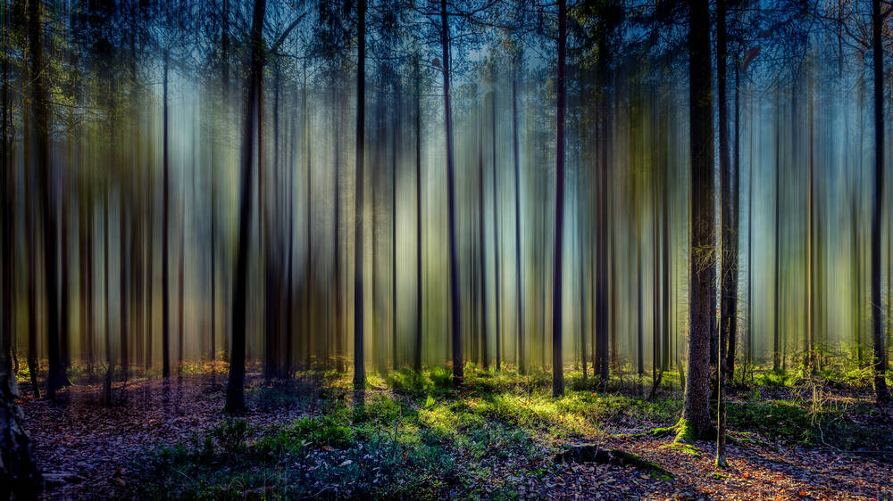 REIMS - 6784 - Photographic print for sale