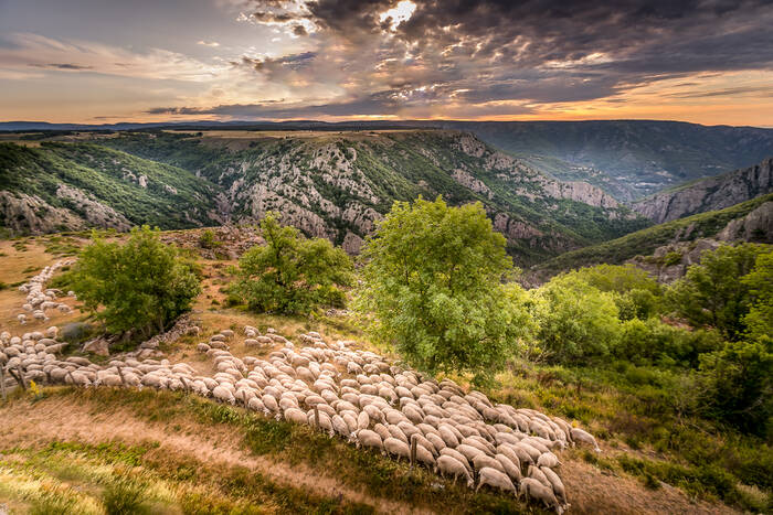 Southern landscape photography art prints for sale