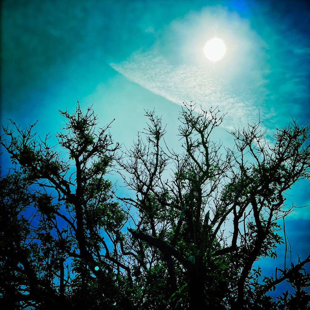 DENMARK 18 - Photographic print for sale