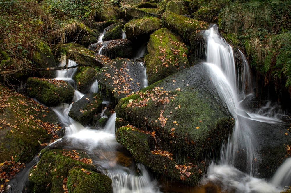 cascade Photos & Posters | Sven Leveque