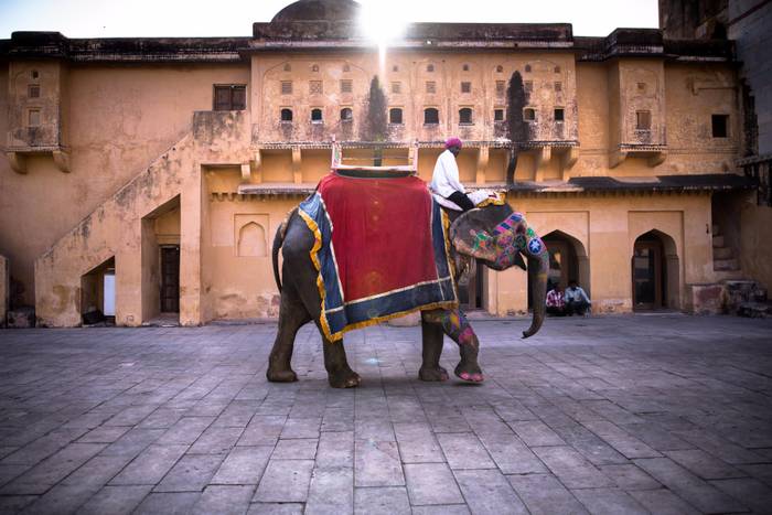 Franck Maillard Photographe - ArtPhotoLimited - Photo d’art