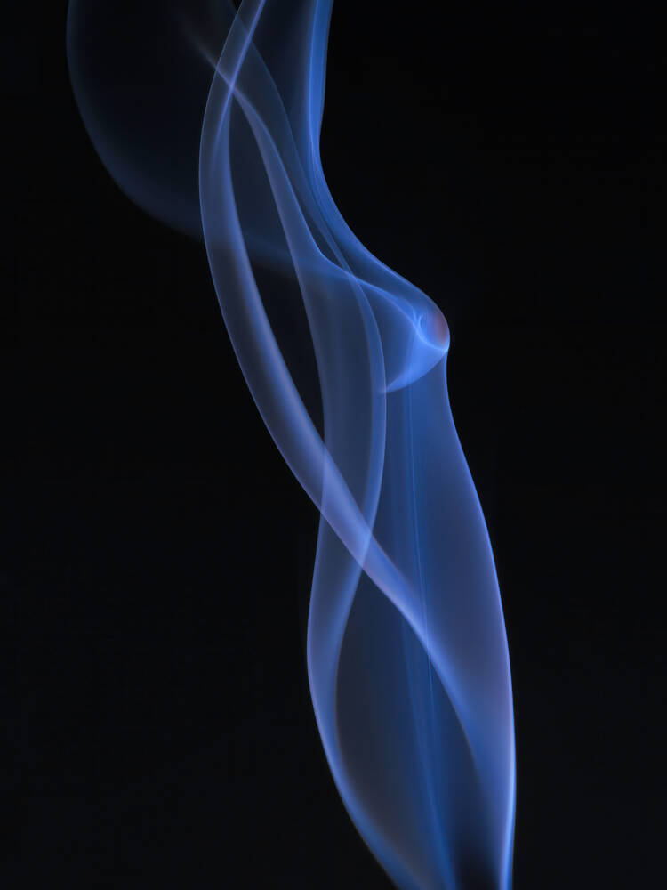 volute - Photographic print for sale