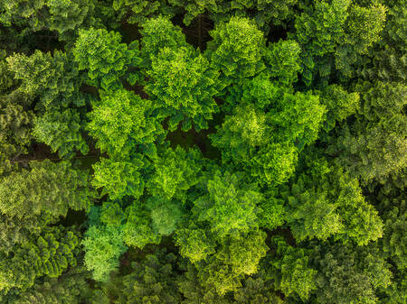 View from above - Photographic print for sale