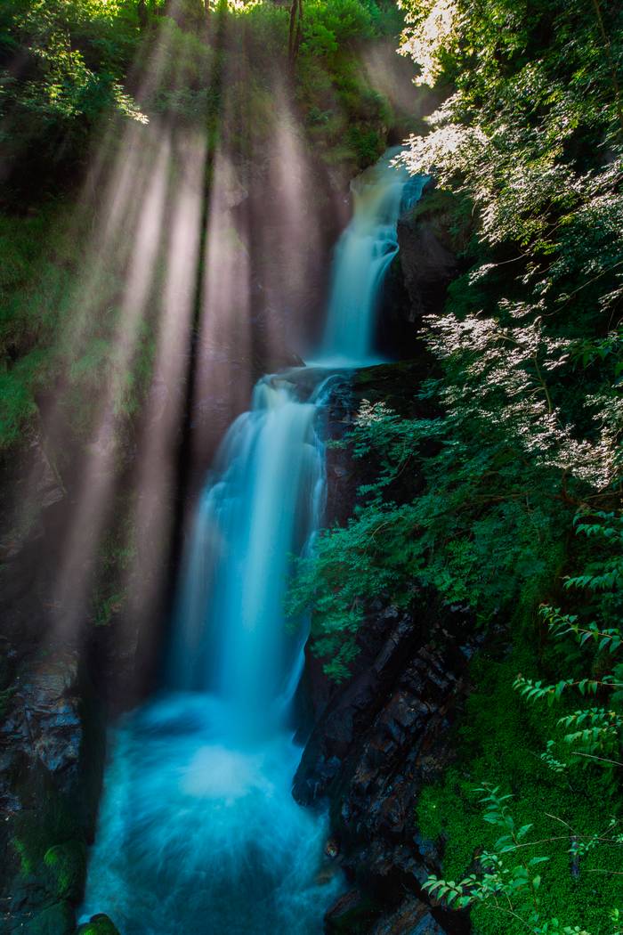 Photo Cascade - Tableau Cascade - Editions Limitées - Achat / Vente