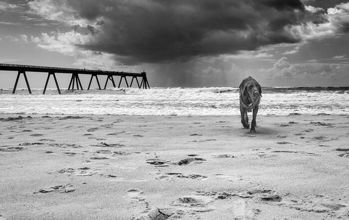 H. photographie Photographe - Photo d’art