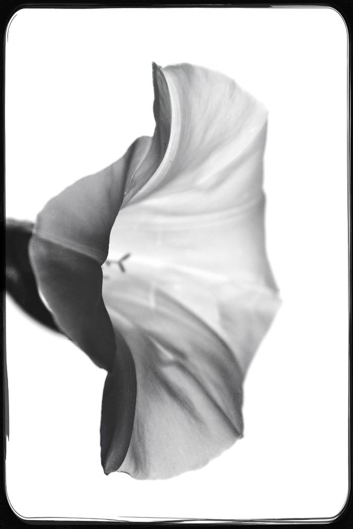 Matthieu COLIN Photographer - Fine Art Photography