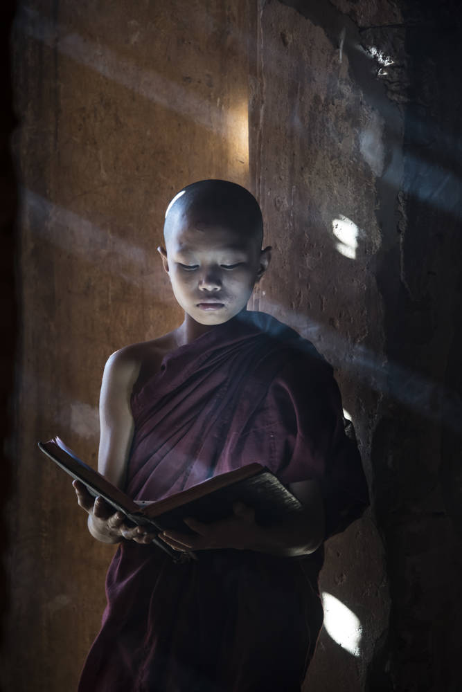 Cuadro y póster Leyendo el Darma - Compra y venta