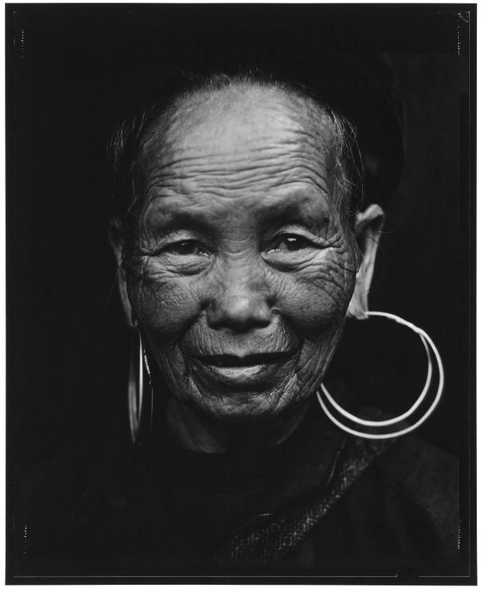 Jungle photography art prints for sale