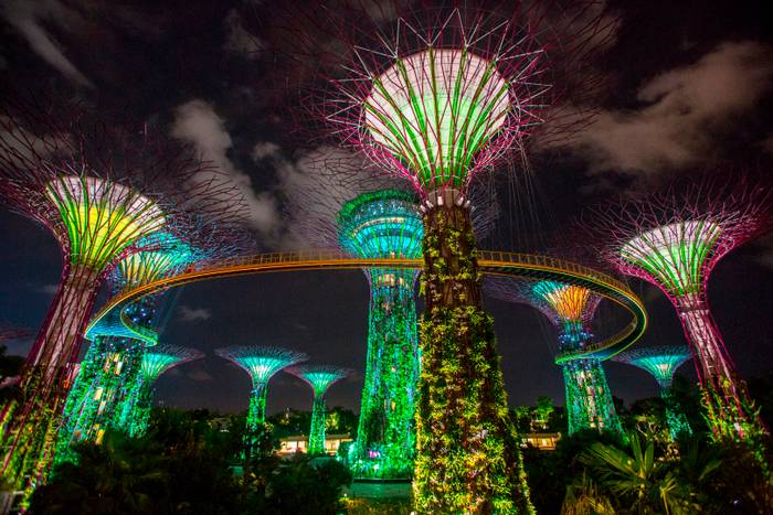 Series SUPER TREES - Frederic Reglain Photographer - Fine Art Photography