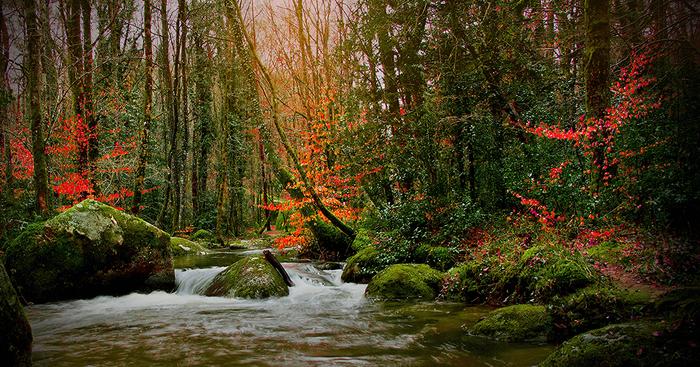 Vincent Benouaich Photographe - ArtPhotoLimited - Photo d’art