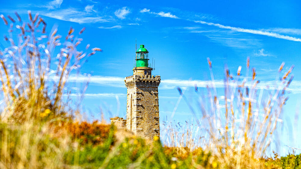 Weed dance around the Cap Frehel lighthouse - Photographic print for sale