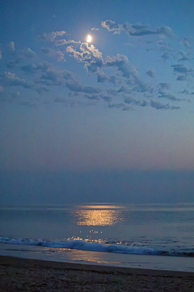 Moonlight - Photographic print for sale