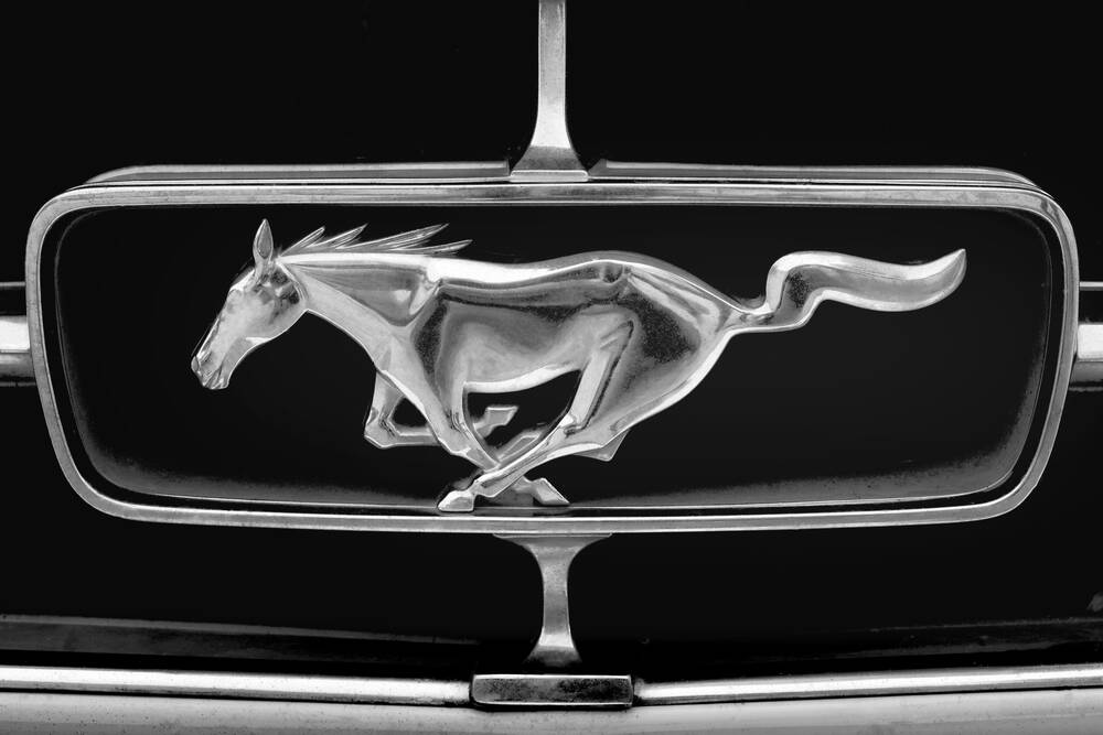 Mustang trace - Photographic print for sale