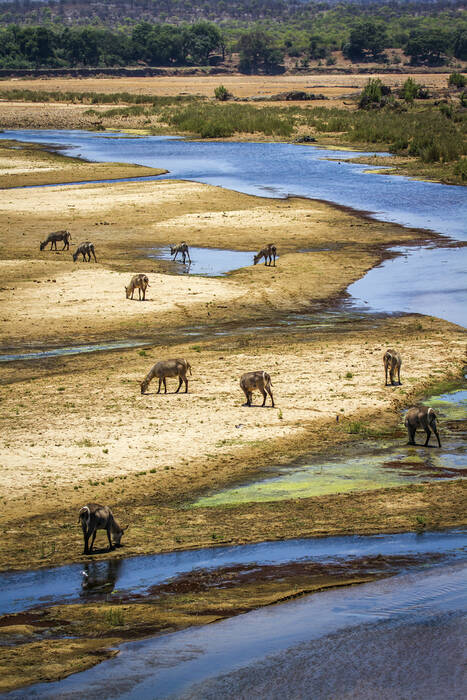 Photo Paysage africain - Tableau Paysage africain - Editions Limitées ...