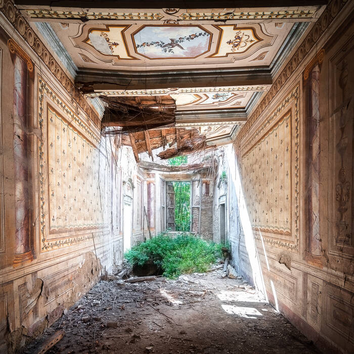 Series Beauty of Decay - Roman Robroek Photographer - Fine Art Photography