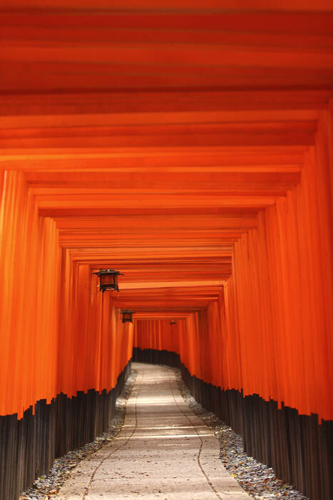 Inari - Photographic print for sale