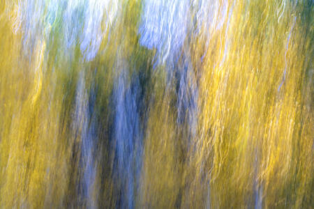 Cuadro de Estados Unidos - Compra / Venta - ArtPhotoLimited