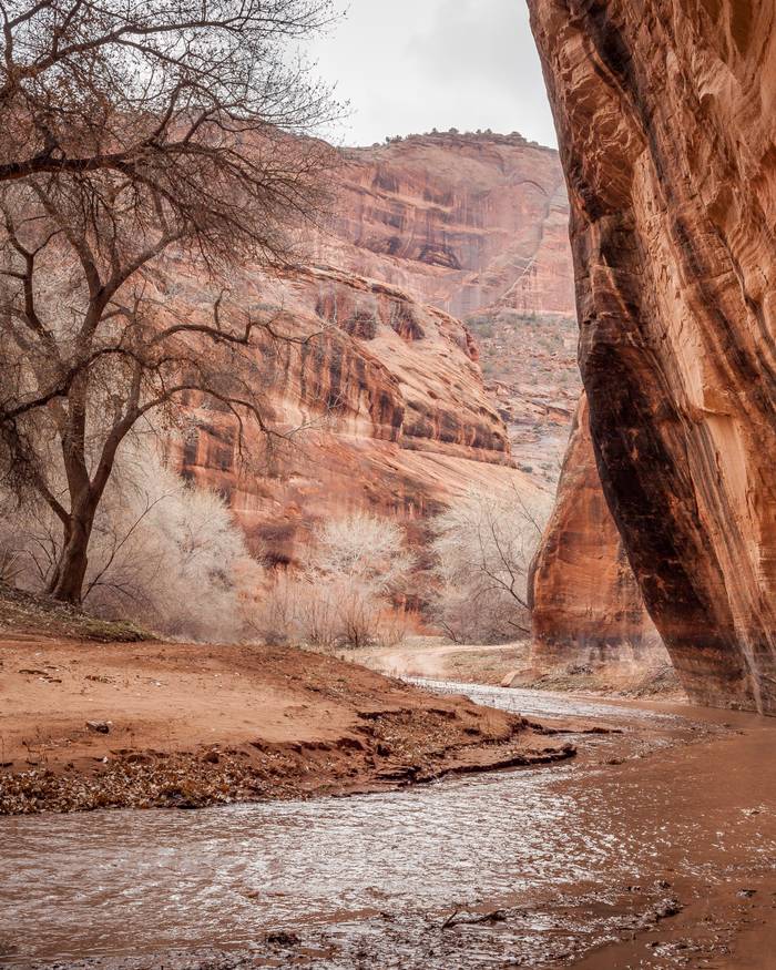 Photo Arizona - Achat / Vente Photos d'art - ArtPhotoLimited