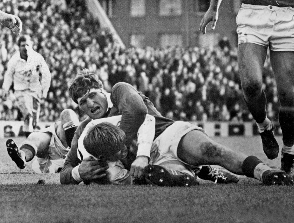 Plaqué au sol - Photo et Tableau - Editions Limitées - Achat / Vente