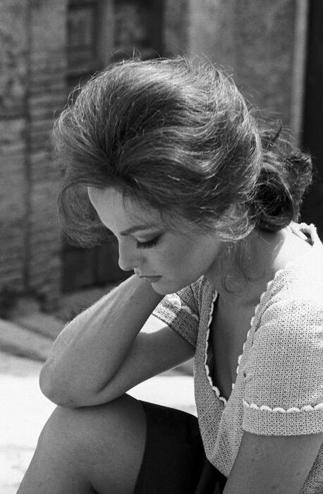 Photo de Virna Lisi - Tableau de Virna Lisi - Editions Limitées - Achat ...