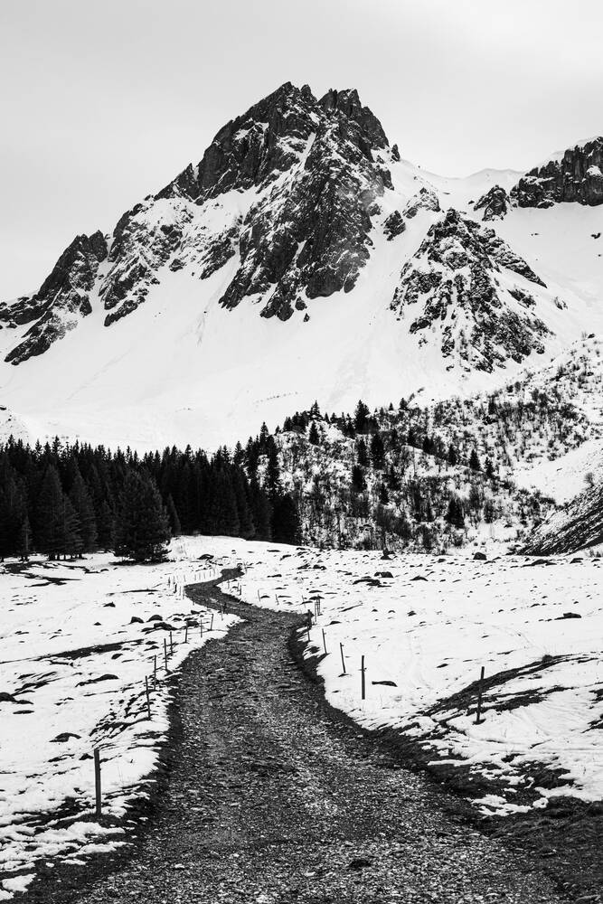GR 5 to Col du Bonhomme - Les Contamines Montjoie - Photographic print ...