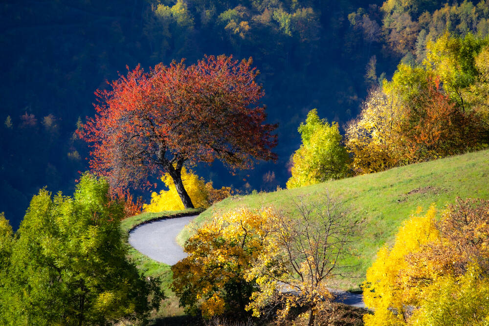 Automne Photos & Posters | Pascal Maillet-Contoz
