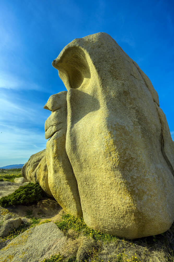 Der korsische Riese Bild - Kaufen / Verkaufen