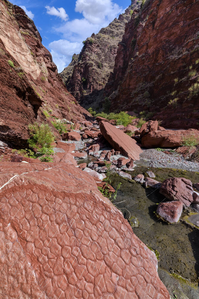 The Cians gorges - Photographic print for sale
