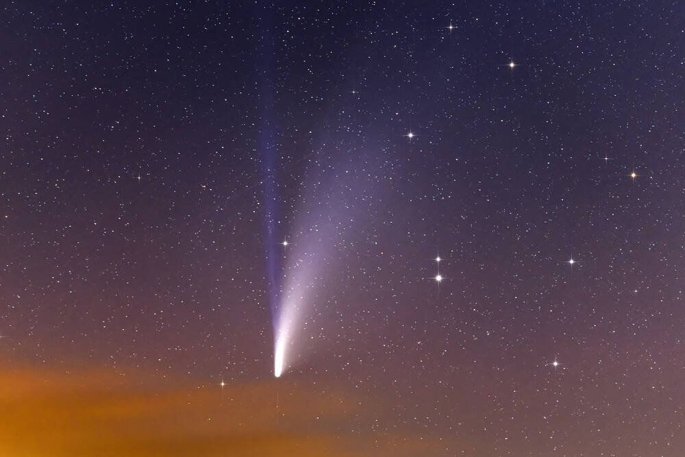 Neowise - Photographic print for sale