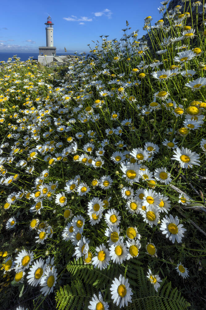 Punta Nariga - Photographic print for sale
