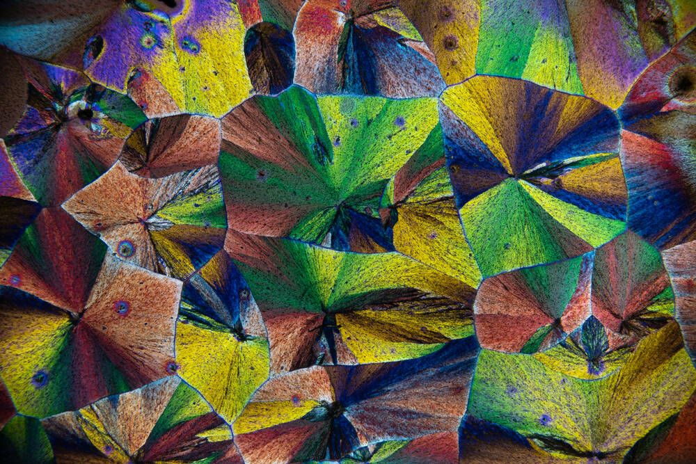 Vanillin crystallization - Photographic print for sale