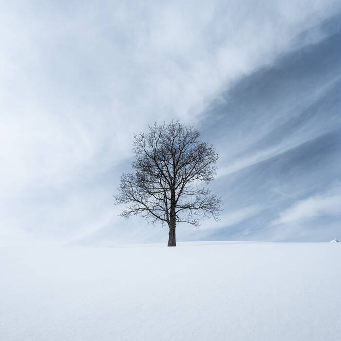 Snow photography art prints for sale