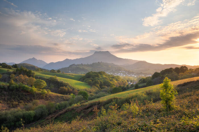 Michael Dickson Fotograf - Fotokunst