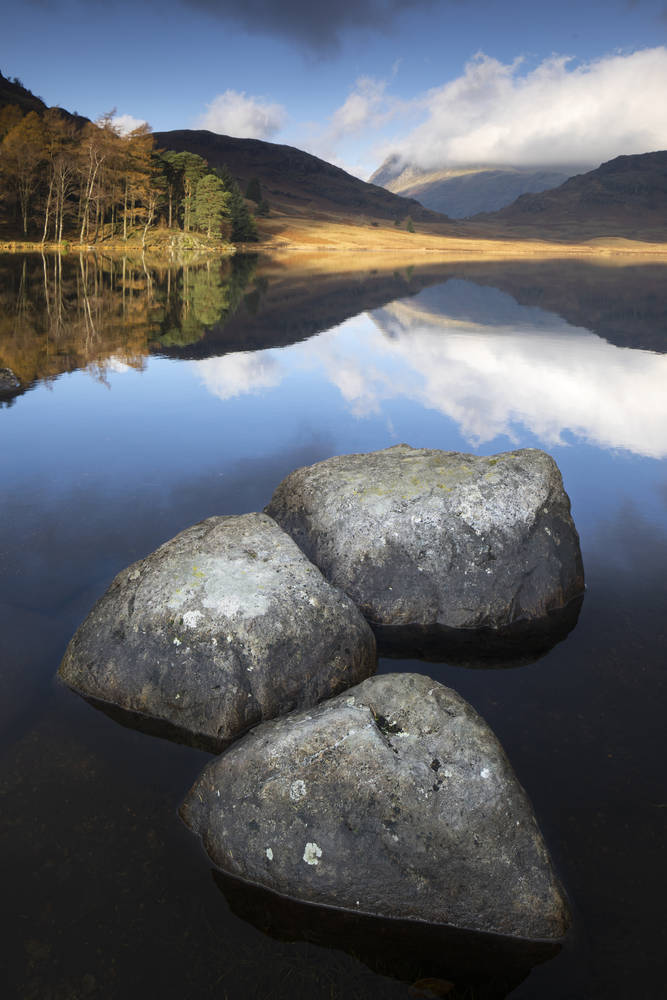 Autumn colors reflected at Blea Tarn - Photographic print for sale