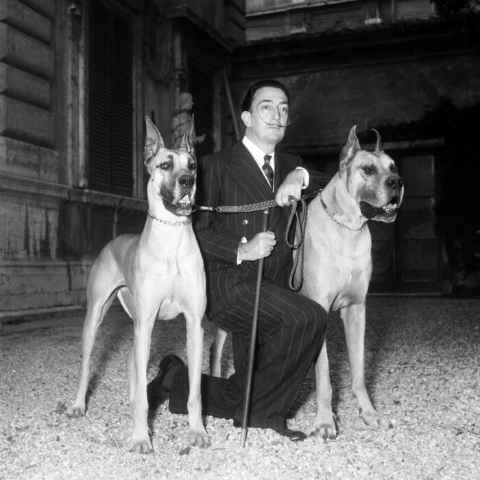 Salvador Dalí Photography Art Prints For Sale - ArtPhotoLimited