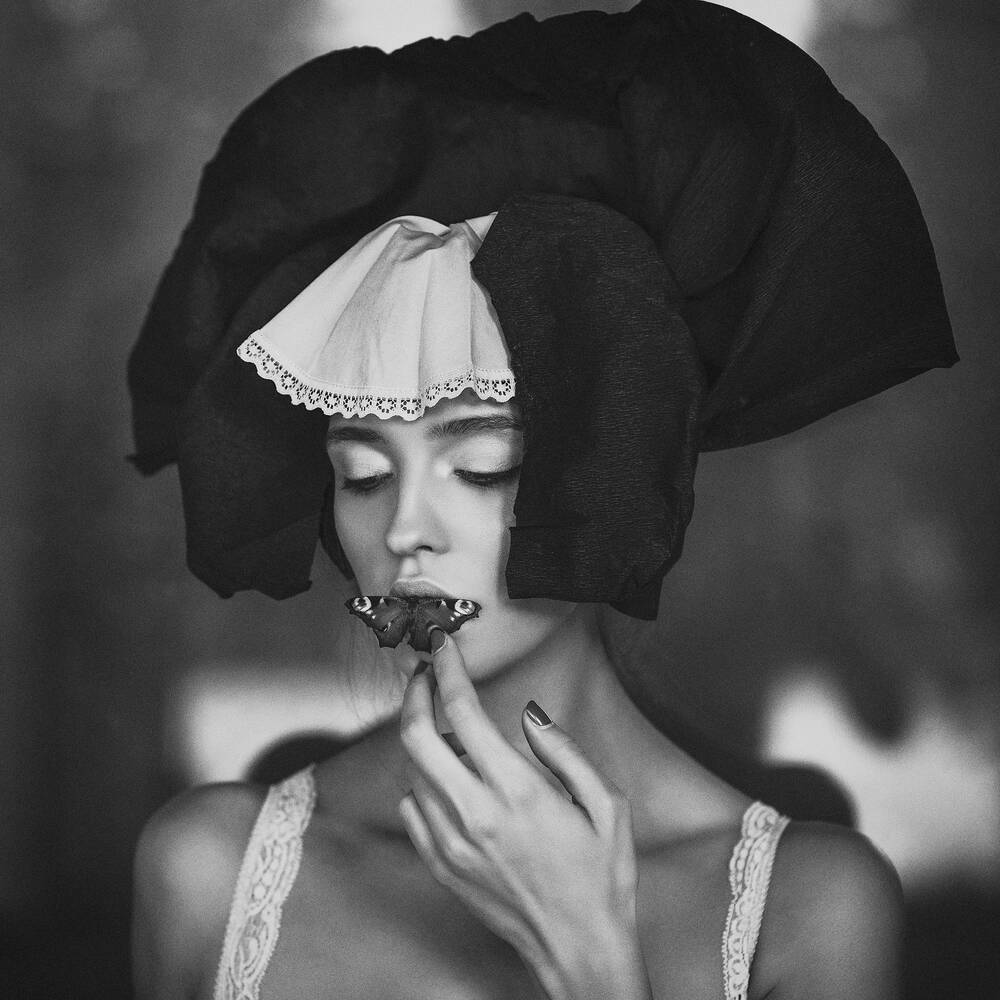 Butterfly - Photographic print for sale